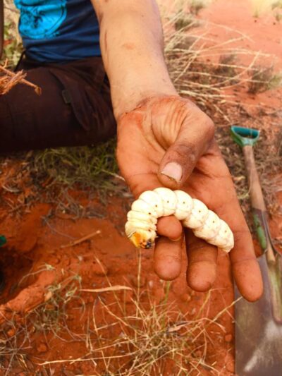 SEIT PATJI - A TRUE ABORIGINAL EXPERIENCE